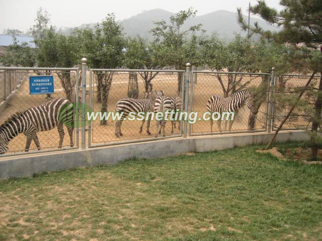 Zoo cage fence mesh projects - Liulin Zoo Mesh Supplier