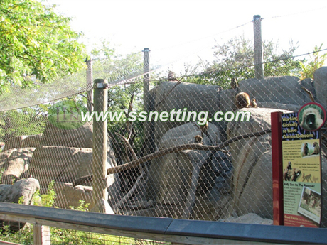 Monkey wire rope netting products for sale in China - Liulin Zoo Mesh ...