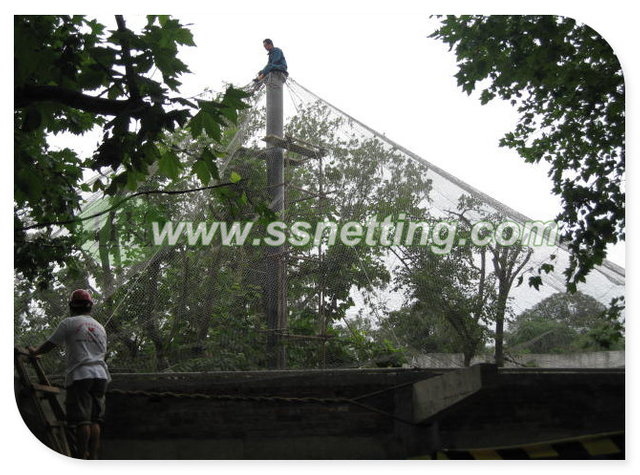Aviary netting client case - Liulin Zoo Mesh Supplier