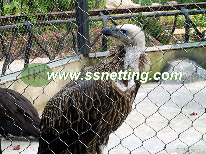 Eagle Cage Netting - Buy eagle cage netting, stainless steel Hawk ...