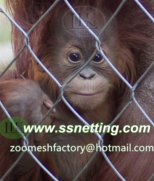 Monkey Hall venues metal fence mesh, steel wire rope monkey enclosure ...