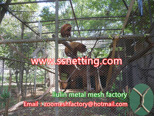 Monkey Hall venues metal fence mesh, steel wire rope monkey enclosure ...