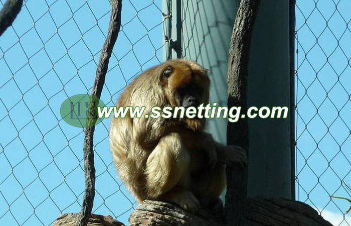 Monkey Enclosure Mesh - Buy monkey enclosure mesh, Monkey wire rope ...