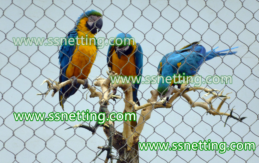 Stainless steel aviary netting - Liulin Zoo Mesh Supplier