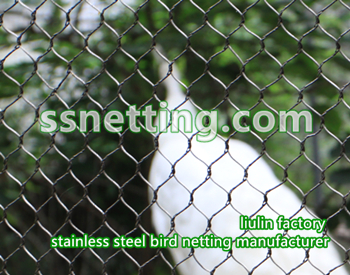 Woven aviary wire rope netting & fence used by zoo aviary exhibit ...