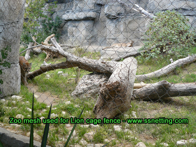 Client Projects Case of wire rope woven zoo mesh - Liulin Zoo Mesh Supplier