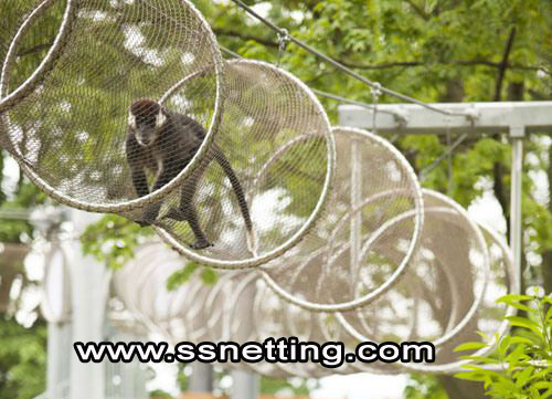 Client Projects Case of wire rope woven zoo mesh - Liulin Zoo Mesh Supplier