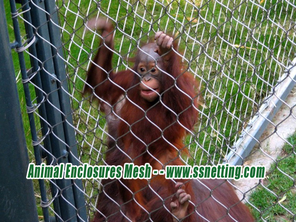 Animal Enclosures Mesh - Liulin Zoo Mesh Supplier