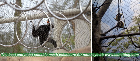 The best and most suitable mesh enclosure for monkeys - Liulin Zoo Mesh ...