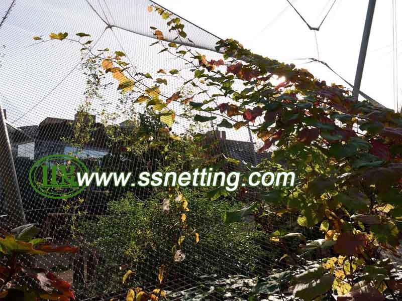 Birds Aviary Construction Mesh - Liulin Zoo Mesh Supplier