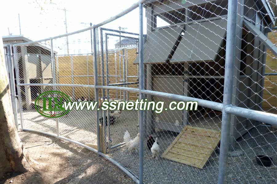 Ferrule Mesh for Animal Enclosures - Liulin Zoo Mesh Supplier